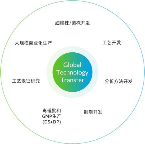 服务与解决方案 上海碧博生物医药科技有限公司