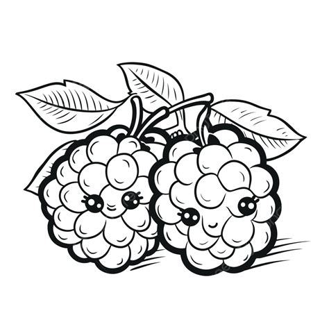 Blackberries Outline