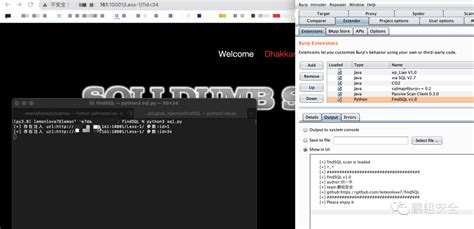 Burp suite插件 findSQL 查找存在注入的点