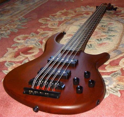 10 String Bass