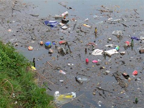 Causas y consecuencias de la contaminación del agua