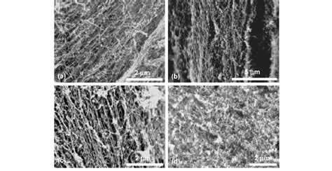 SEM Images Of DWNTs A And B From MWNTs CNFs C And D From