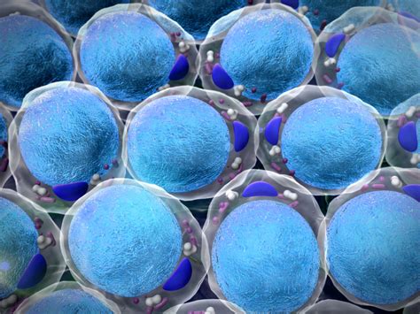 Optimising Your Single Cell Experiment Where Does Variation Come From