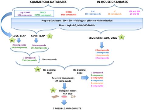 Flowchart Of The Virtual Screening Redocking And Biological Assay