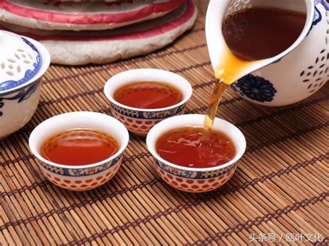 廣東人那麼喜歡普洱茶原因就在這 每日頭條