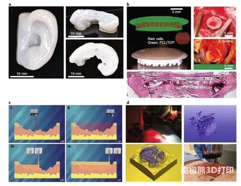 超过40个3d打印学术科研突破大汇总！ Ofweek3d打印网