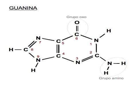 QUIMICA ORGANICA Septiembre 2016