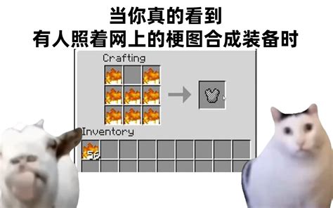 当huh猫和吐舌羊遇上mc烂梗！him和422谁更强？ 没睡醒的阿阳 没睡醒的阿阳 哔哩哔哩视频