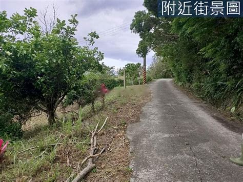 其他台東長濱海景休閒美地台東縣長濱鄉玉長段 樂屋網 土地買賣