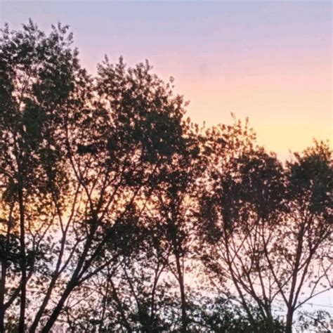 头发毛躁用什么才能顺 修复发丝重拾美丽 秀发 Spes 护发