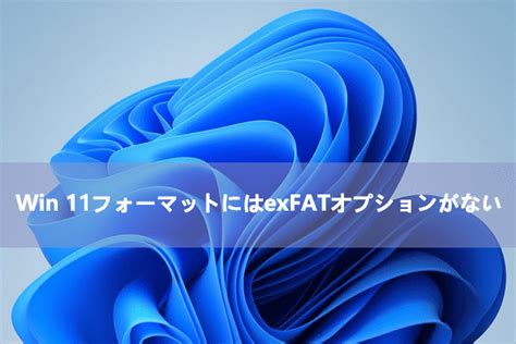 Windows Exfat