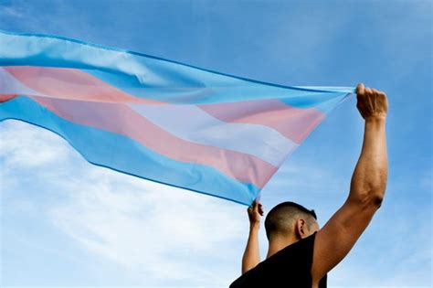 Is There Something Unique About The Transgender Brain Scientific