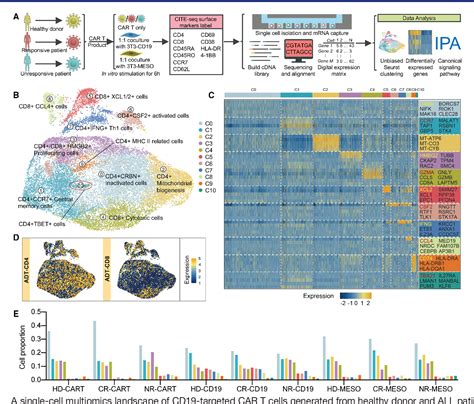 Figure 1 From Single Cell Multiomics Dissection Of Basal And Antigen
