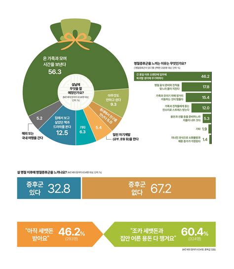 Mz세대 명절증후군 친척 잔소리 보다 이것 때문 정책주간지 공감