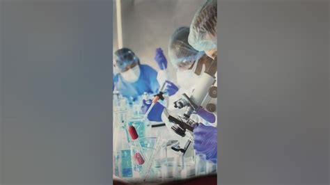 Mini Blogbool Test Youtube