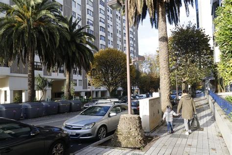 La Plaga Del Picudo Rojo Obliga A La Tala De Palmeras En Gijón El