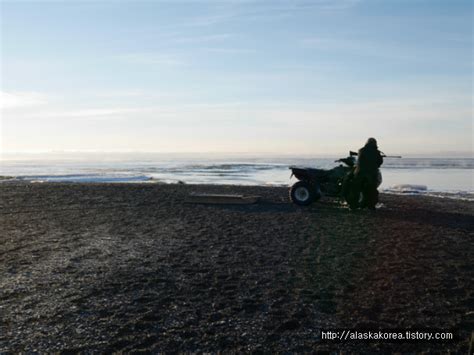 알래스카 북극여행 일주일째에스키모언어 네이트 판