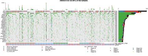 新版tcga的突变snp数据添加临床信息tcga做snp Csdn博客