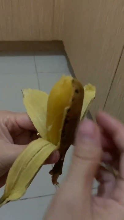 Sab Awe Call This Saging Sab A Small Boiled Banana And Yummy Shorts