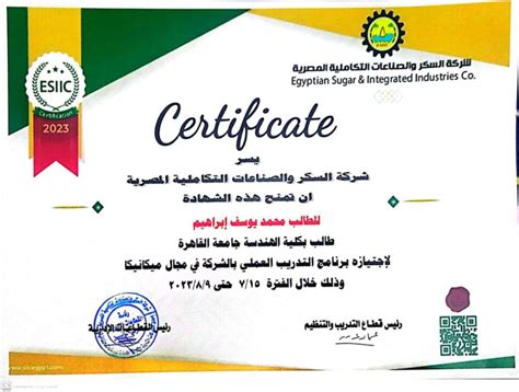 Mohamed Youssef On Linkedin Newskills Trainingcomplete