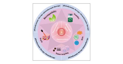 Advances In Carbon Dot Based Enhancement Of Photodynamic Therapy Of Tumors Acs Applied Bio