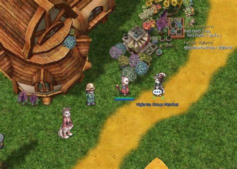 Doram Summoner Class Update Ragnarok Online