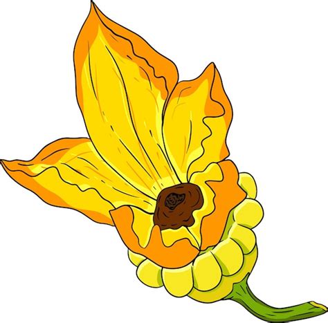 Patisson Vectors And Illustrations For Free Download Freepik