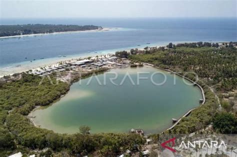 Walhi Soroti Dugaan Kerusakan Mangrove Dan Penimbunan Danau Gili Meno