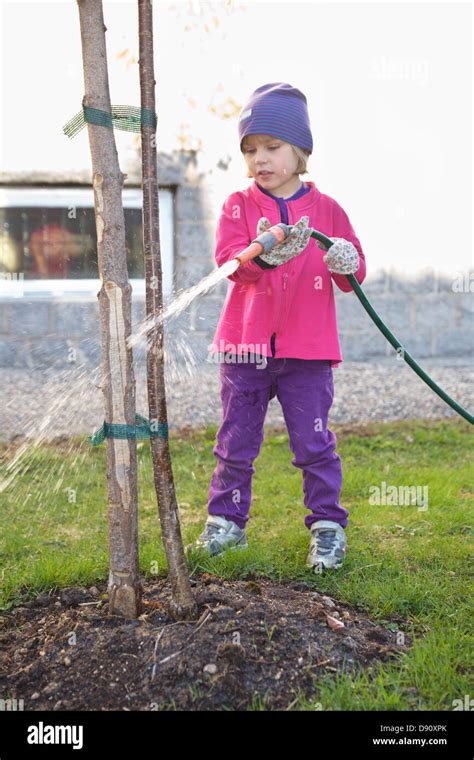 Girl Watering Tree Stock Photo Alamy