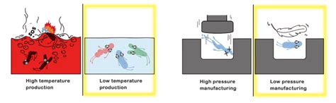 Choosing The Right Probiotics Your Essential Guide To Probiotics Cfu And Optimal Gut Health