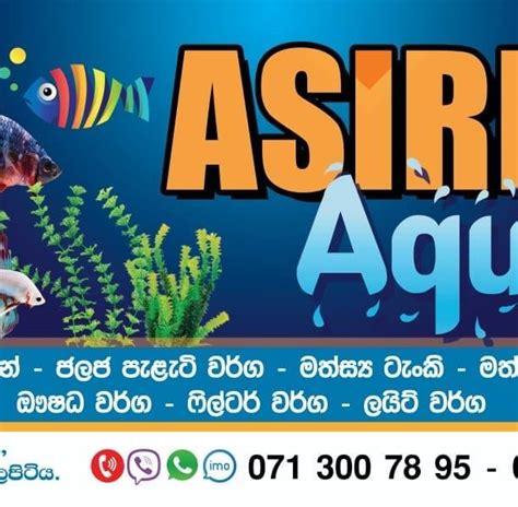 නාවලපිටිය නාවලපිටිය පස්බාගේ කොරළේ ප්‍රදේශීය සභාවේ නව සභාපති ලෙස අභිනවයෙන් ජනතා ඡන්දයෙන් තේරී
