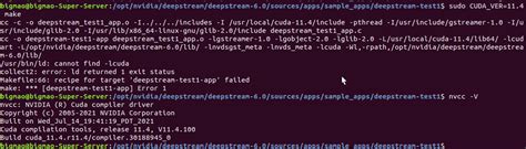 Unable To Use Deepstream Test1 App On Ngc 60 Devel Container Page 3