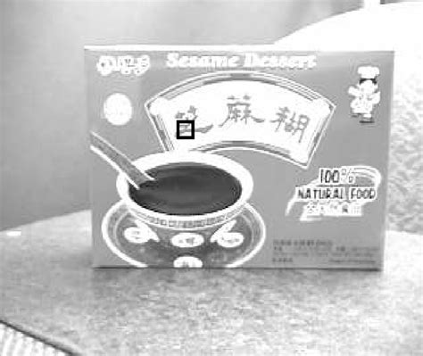 One Snapshot From The Sesame Sequence The Superimposed Square Shows Download Scientific