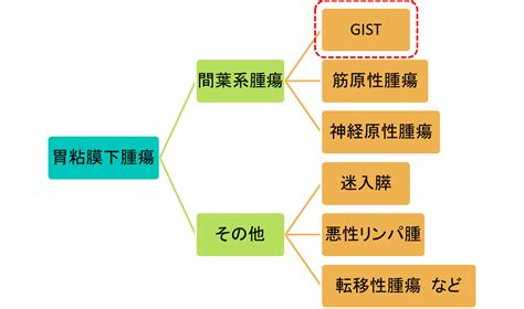 Gist消化管間質腫瘍とは？意味や治療法のまとめ【画像あり】