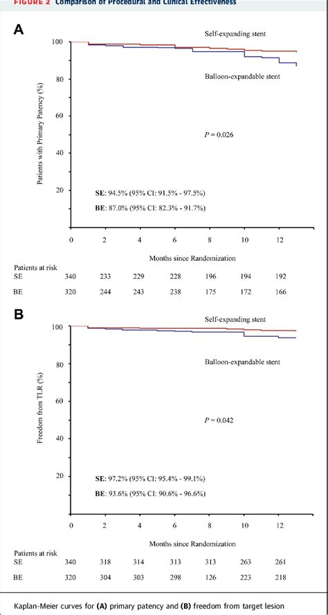 Figure 1 From Self Expanding Versus Balloon Expandable Stents For Iliac