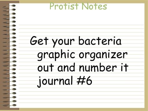 Ppt Protist Notes Powerpoint Presentation Free Download Id1900018