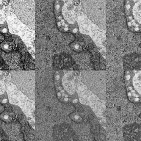 Left To Right Original Histogram Equalize Color Jitter Gaussian