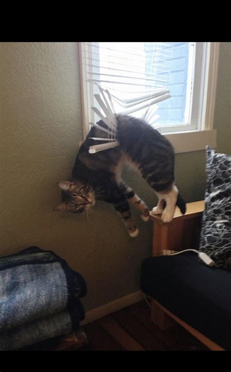 Just Having Some Little Fun Around Rstoppedworking