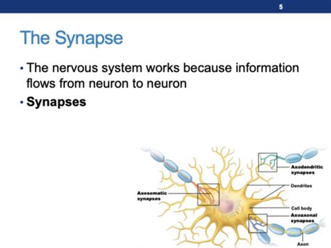 Chapter 11 Part 3 Exam 3 Flashcards Quizlet