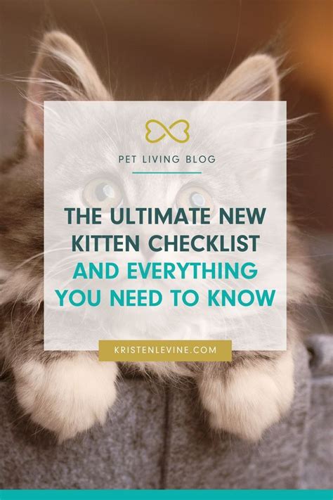 New Kitten Checklist Pet Living