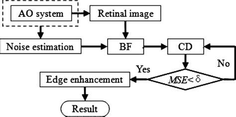Flow Chart Of Hybrid Filtering And Enhancing Method For Ao Retinal Cell