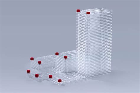 How To Watch Cells In The Cell Factory Systems News Fudau