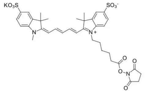 水溶性Cy5 5活性酯荧光染料 荧光染料Cy5 5标记NHS 脂溶性活性染料Cy5 5 Cy5 5 N 羟基琥珀酰亚胺酯 Cy5 5