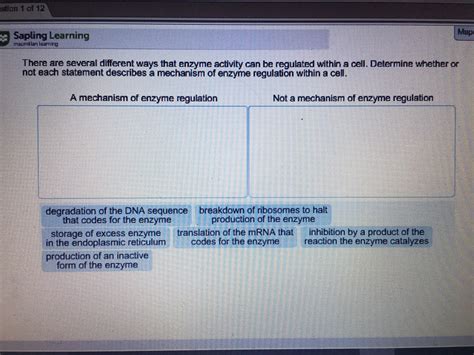 Solved There Are Several Different Ways That Enzyme Activity