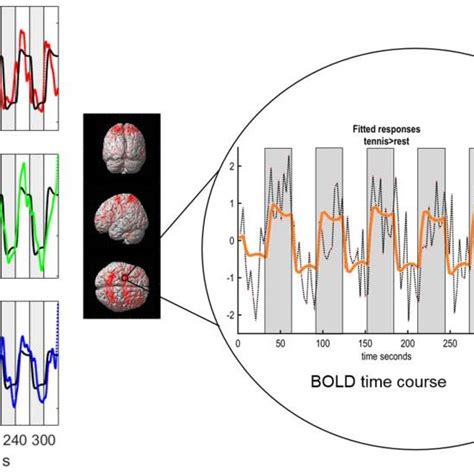 2 Functional Activation Data From One Subject Left The Time Courses Download Scientific