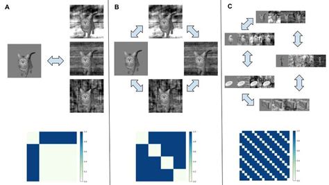 Categorical Models Of Main Experimental Manipulations A The