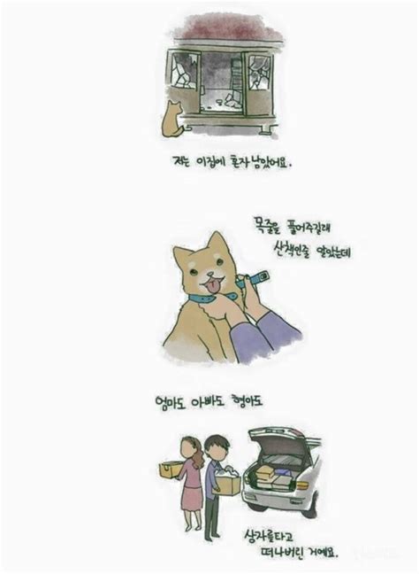 유기견에서 유튜버가 된 경태 인스티즈instiz 이슈 카테고리