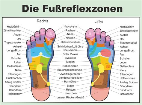 Die Fußreflexzonen Saunazeit Magazin