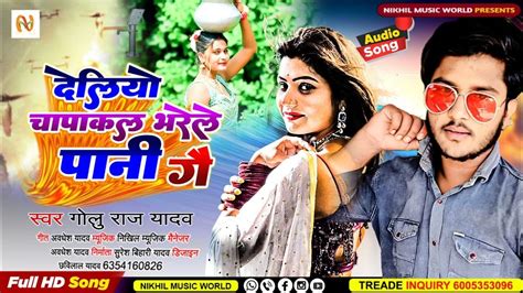 Golurajyadav Llदेलियो चापाकल भरेले पानी गै Ll गोलू राज यादव Ll हिट