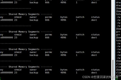 【linux】共享内存（超详细！）linux 共享内存 Csdn博客